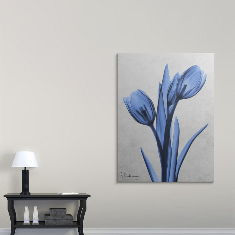 Wade Logan® Manigault 'Midnight Tulips by Kiranjit Photographic Print ...