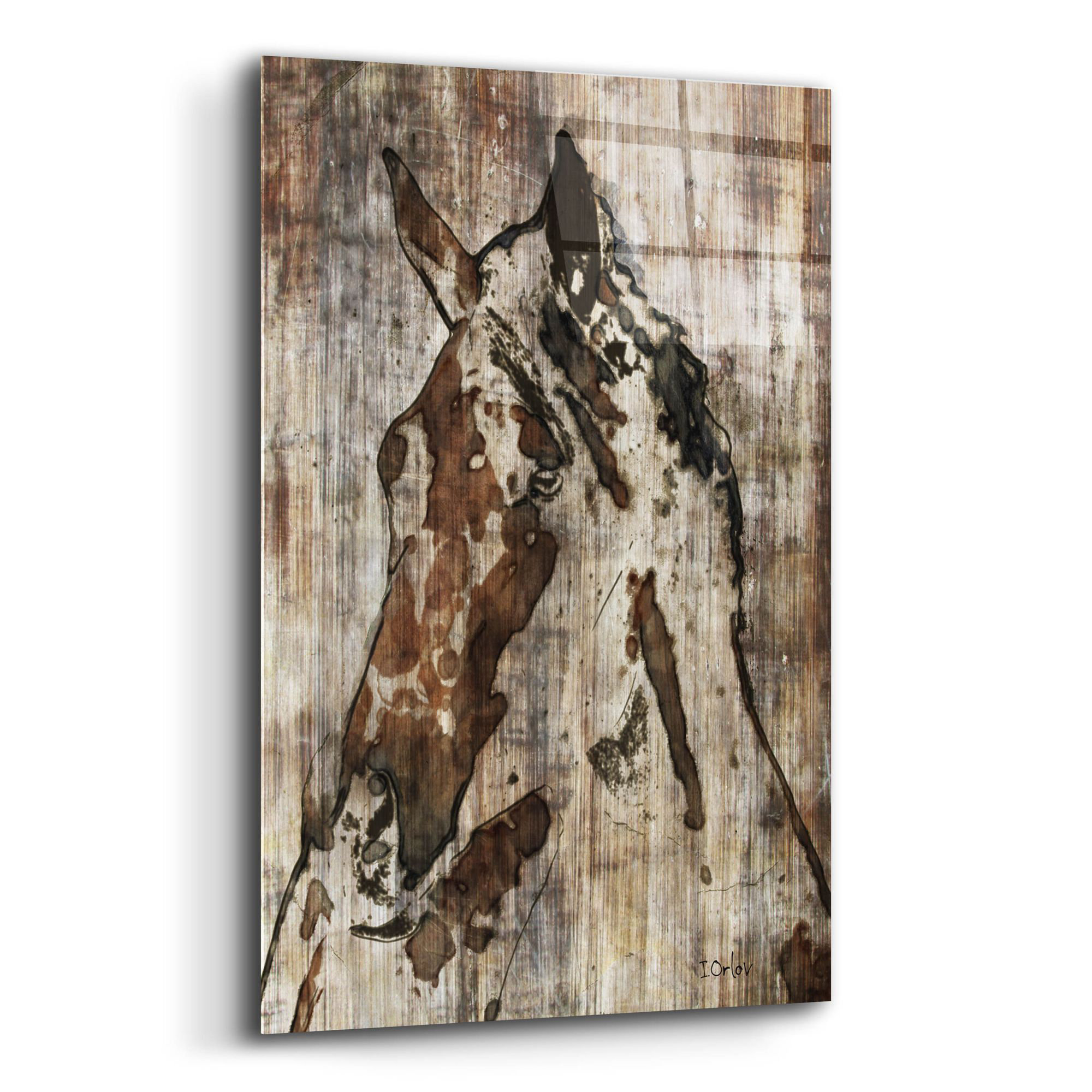 Foundry Select 'Thumper' By Irena Orlov, Acrylic Glass Wall Art | Wayfair