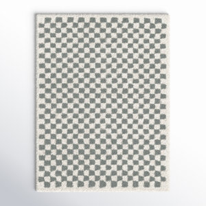 AllModern Walker Checkered Sage/Cream Shag Area Rug & Reviews | Wayfair