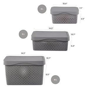 Rebrilliant Plastic Box Set & Reviews | Wayfair