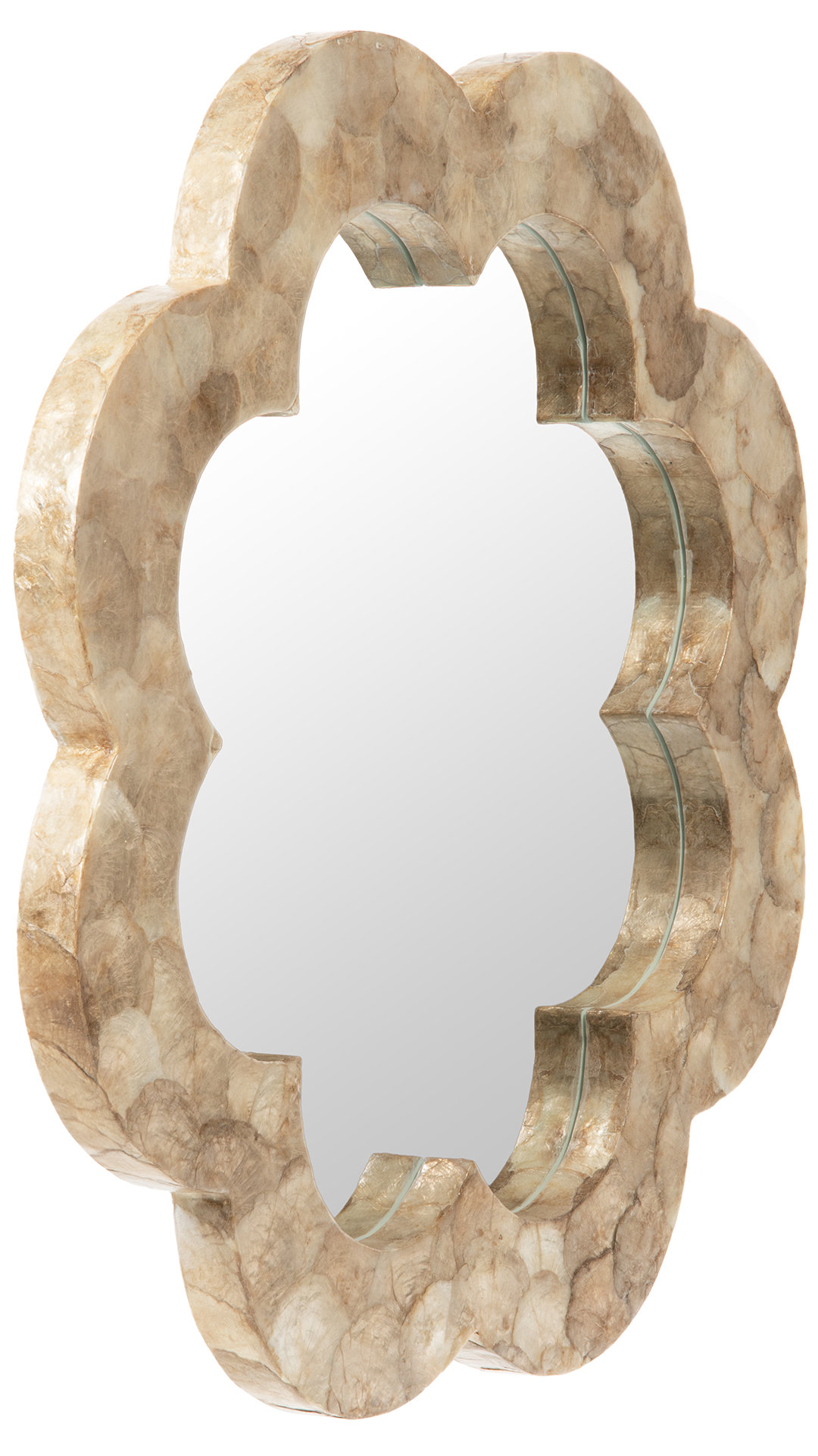 Bay Isle Home™ Bette Flower Capiz Seashell Accent Mirror & Reviews ...
