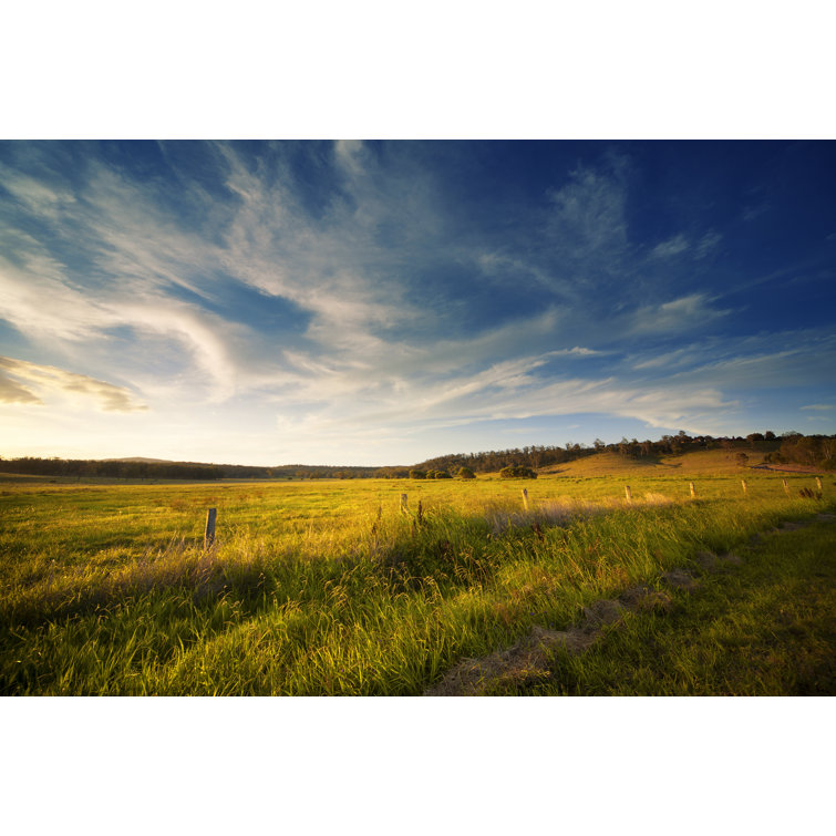 Brambly Cottage Wide Open Field by Quirex - Wrapped Canvas Art Prints ...