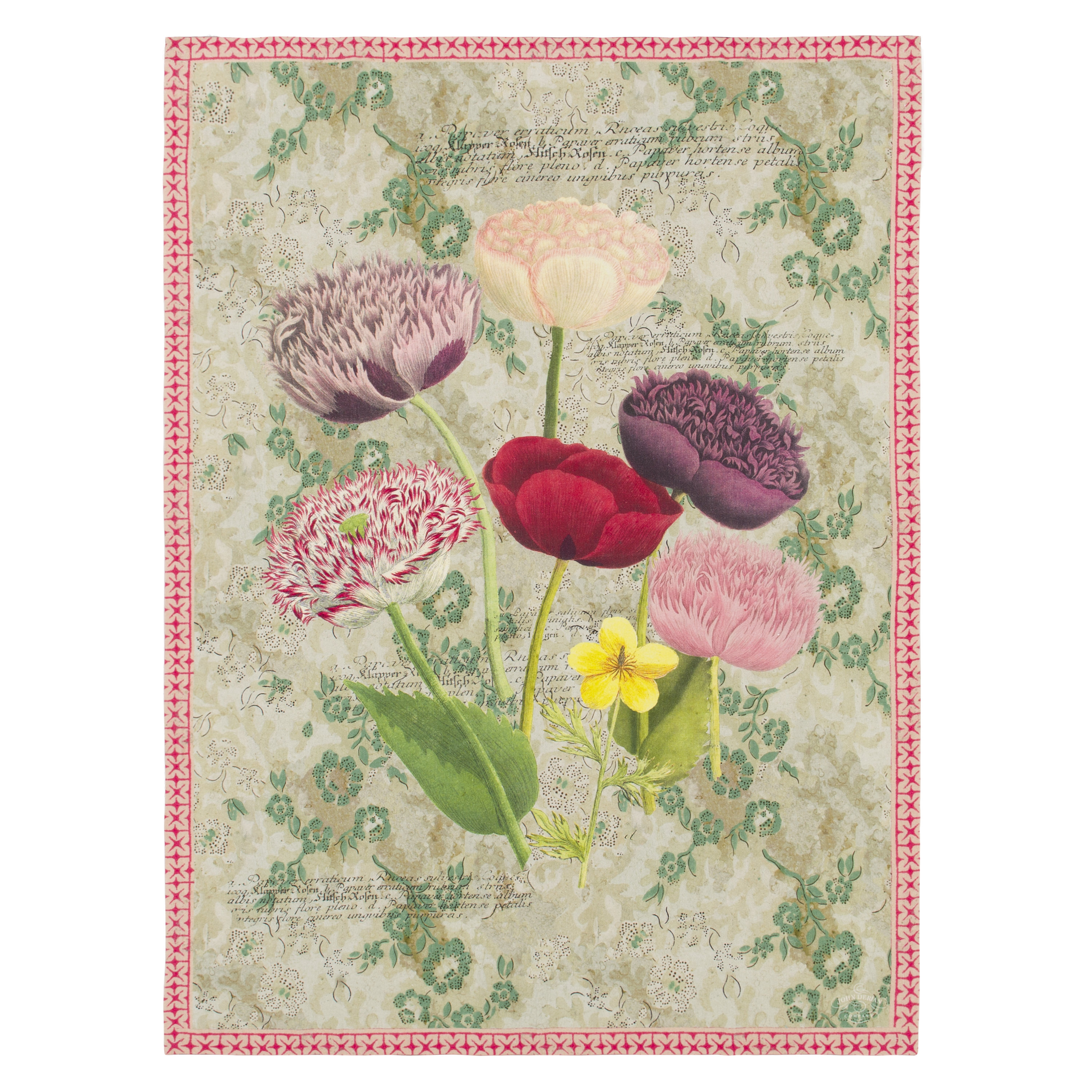 John Derian Poppy Study Violet Throw | Perigold