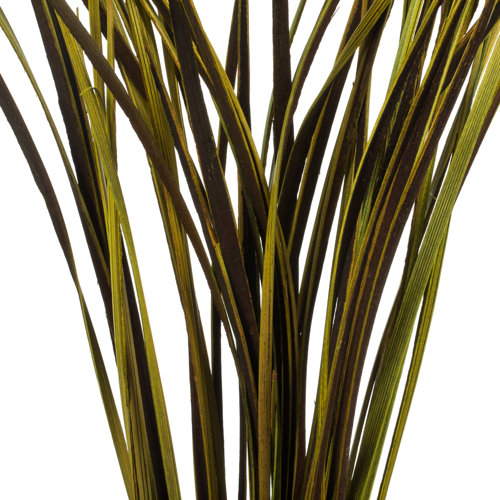AllModern 28"-36" Splinter Grass Bundle, 22oz Dried & Reviews | Wayfair