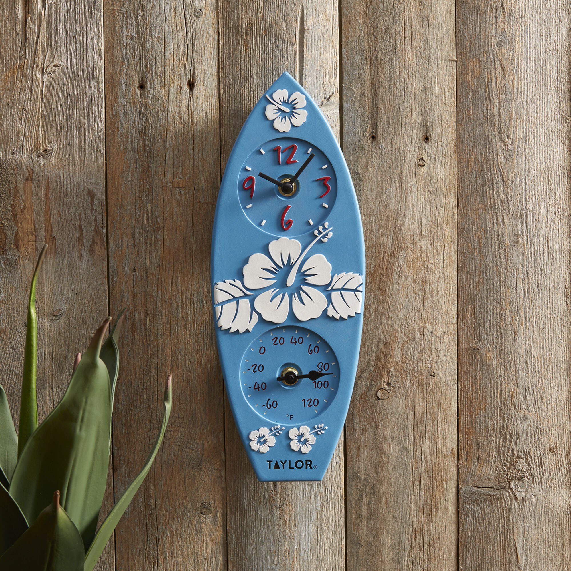 Taylor Surfboard Clock with Thermometer & Reviews - Wayfair Canada
