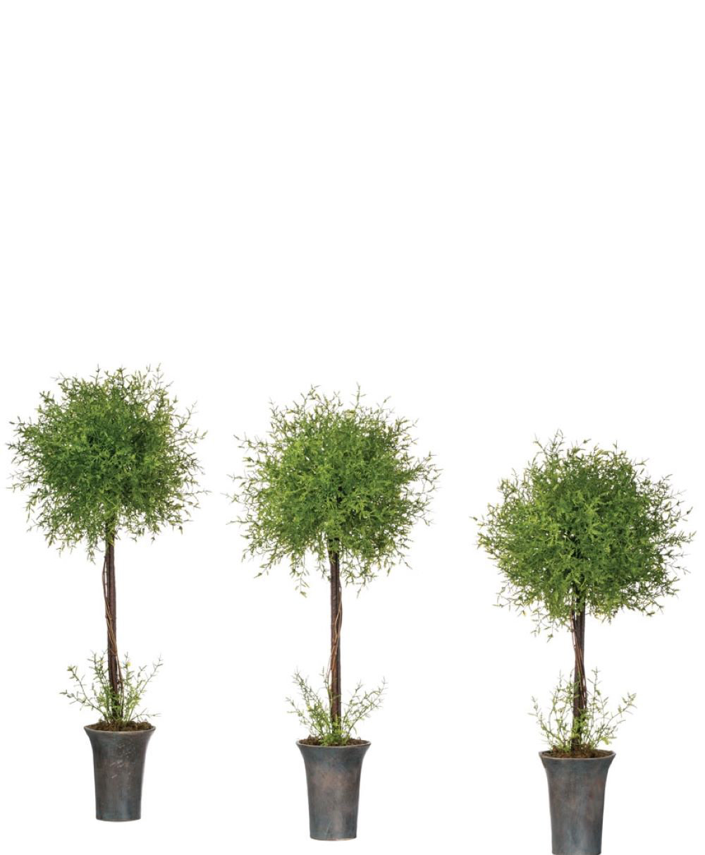 Gracie Oaks 3 Piece Feather Topiary Fern Tree in Pot Set - Wayfair Canada
