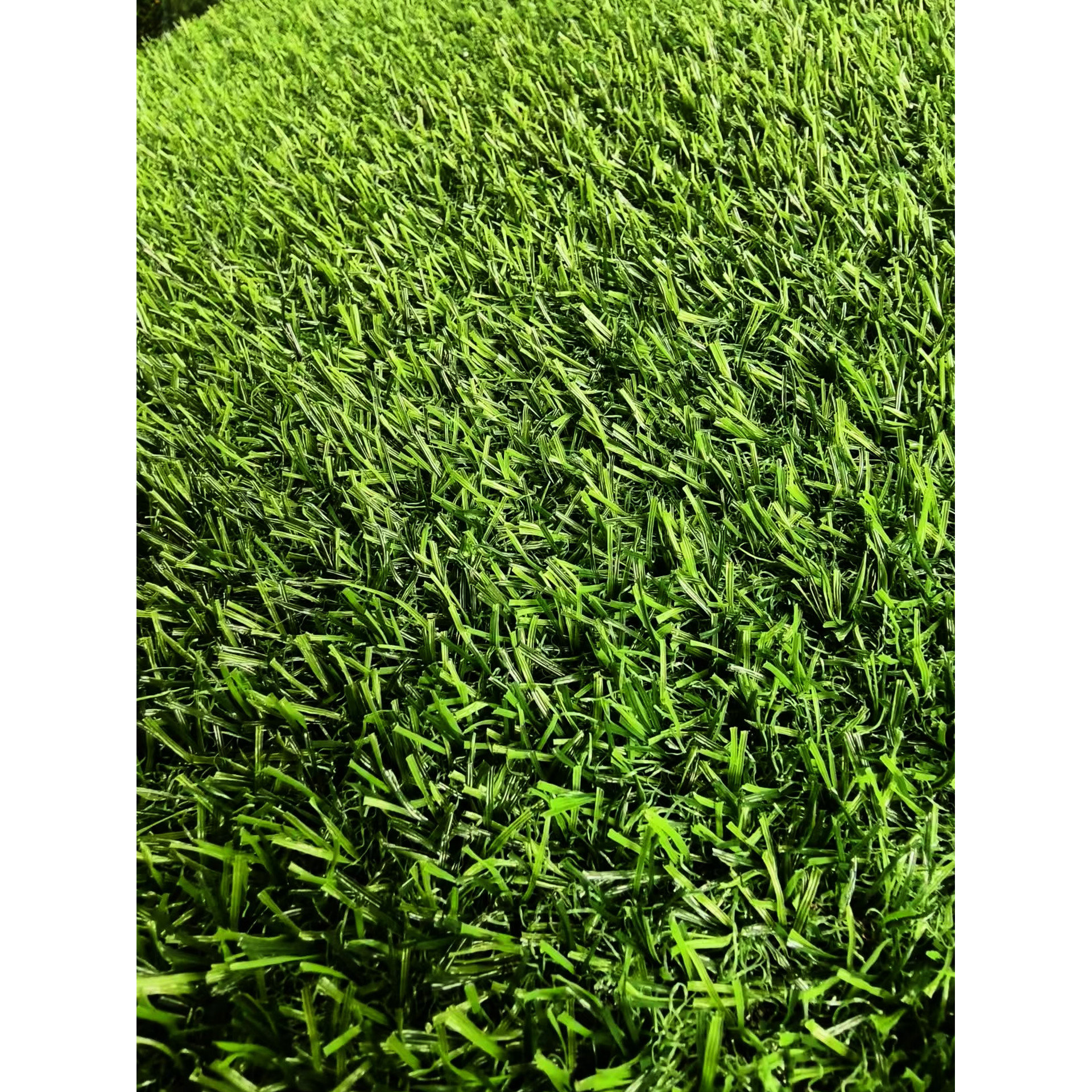 Ophelia & Co. Thick Fake Grass Turf Mat With Rubber Backing For Garden ...