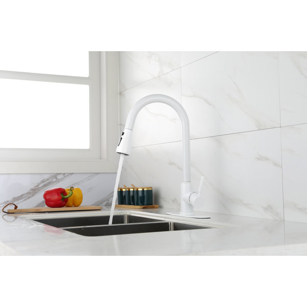 Dilon Pull Down Kitchen Faucet - Wayfair Canada
