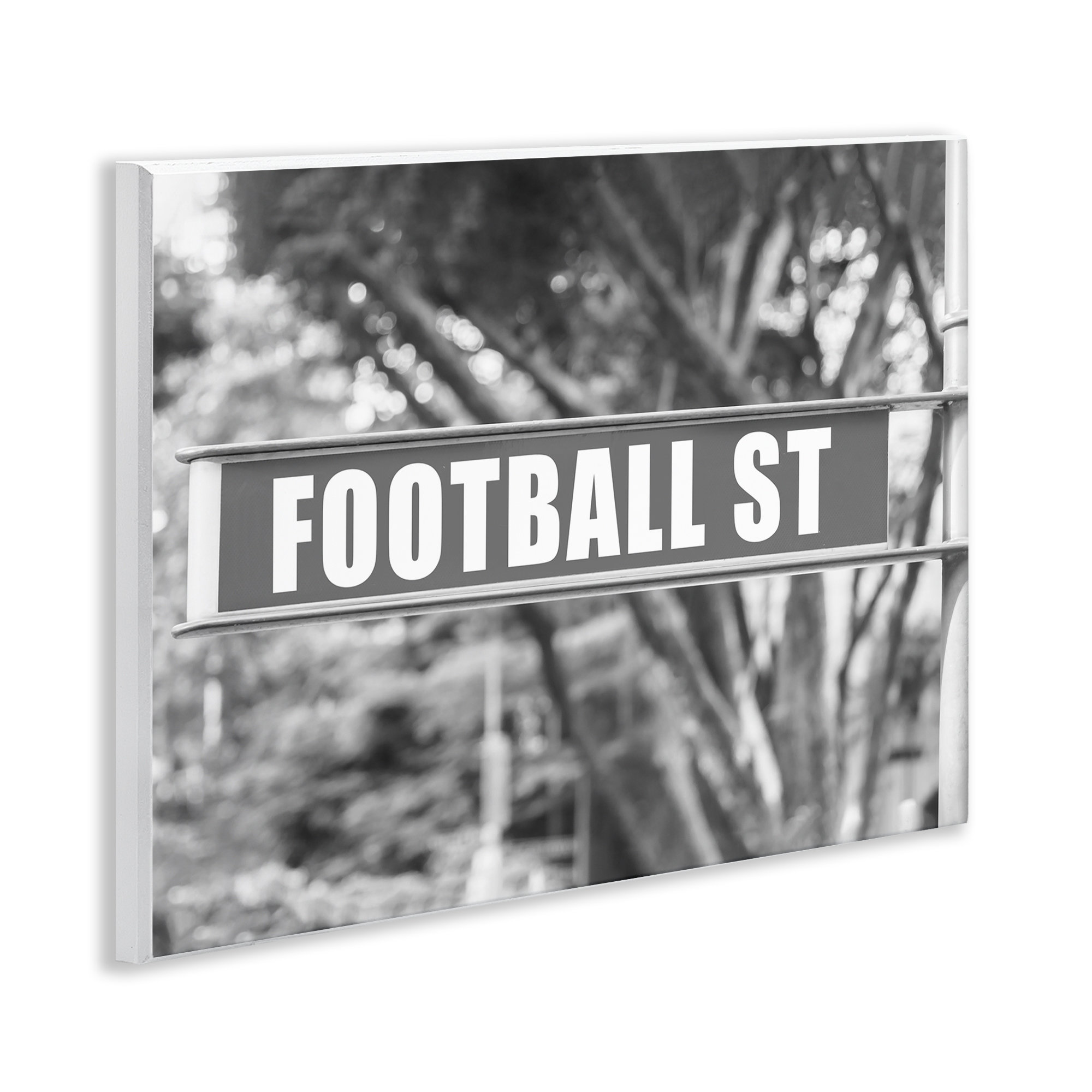 Ebern Designs Football Street Sign Wall Plaque Art by Daphne Polselli ...