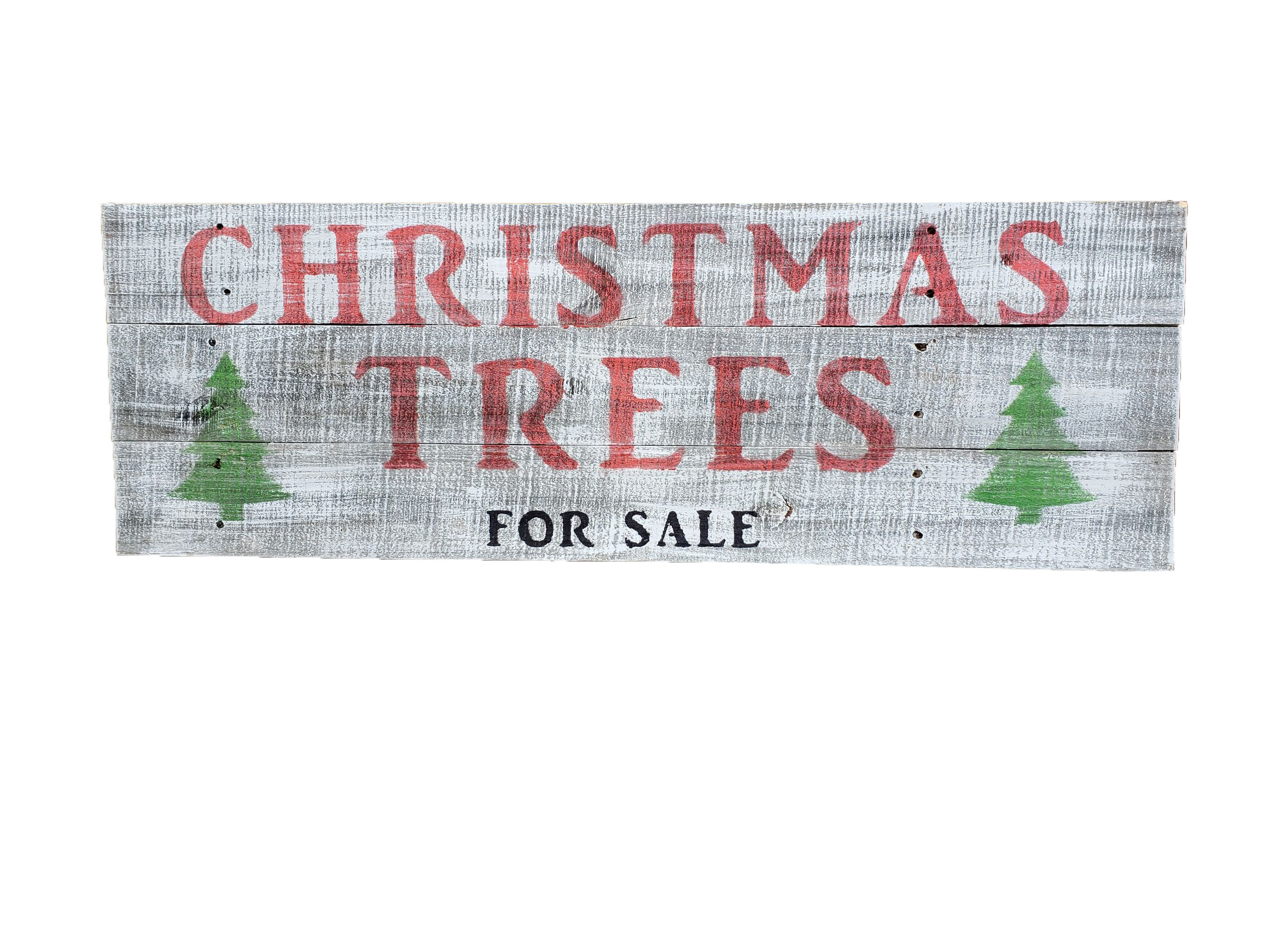 The Holiday Aisle® Christmas Tree for Sale Decorative Accent | Wayfair