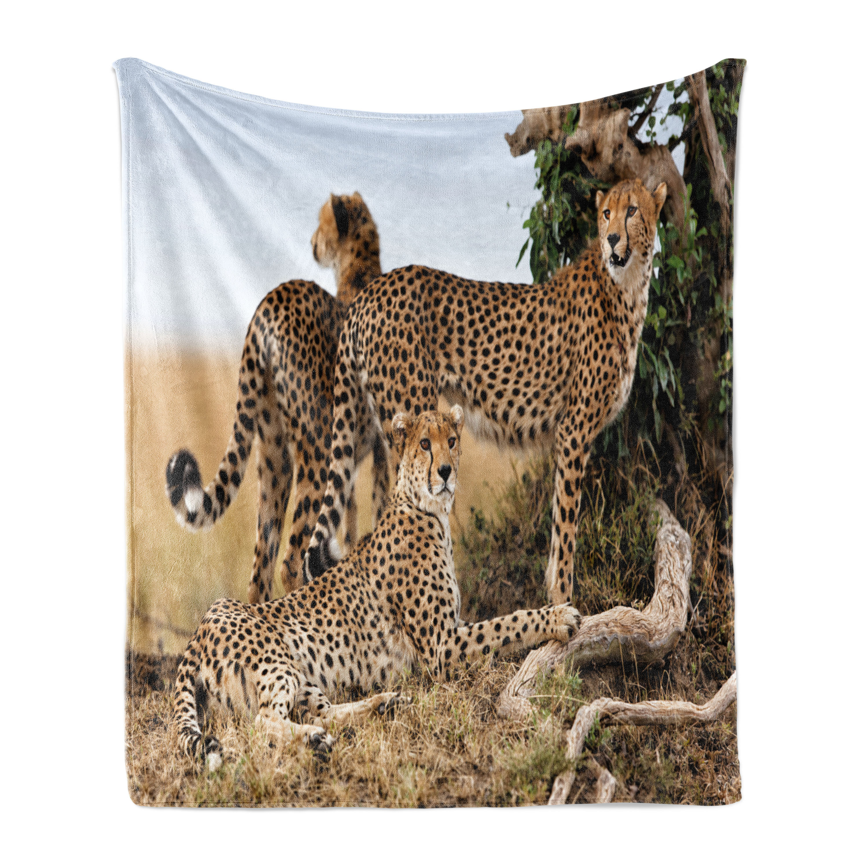Ambesonne Wildlife Fleece Throw Blanket Savannah Animal Cheetahs Black ...