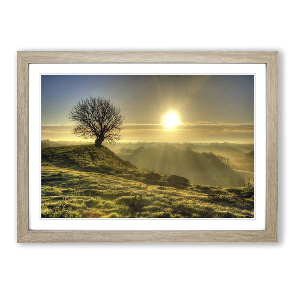 East Urban Home Single Picture Frame Print & Reviews | Wayfair.co.uk