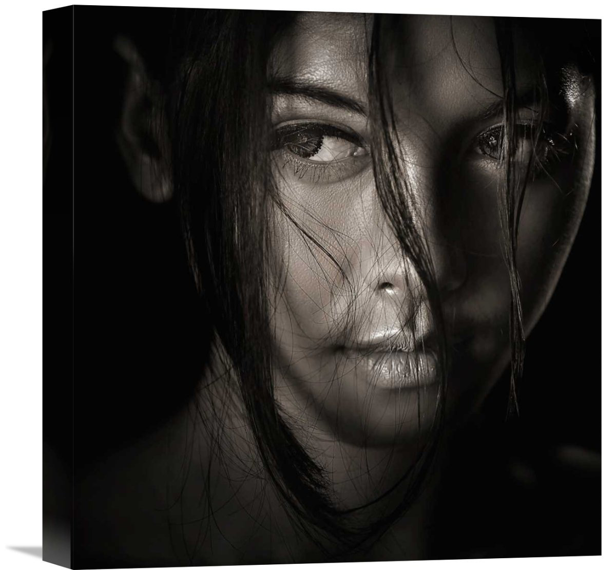 Global Gallery 'The Look' by Ivan Lee Photographic Print on Wrapped ...