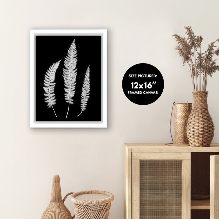 Gracie Oaks Swirl Ferns I By Chaos & Wonder Design Modern Wall Art ...