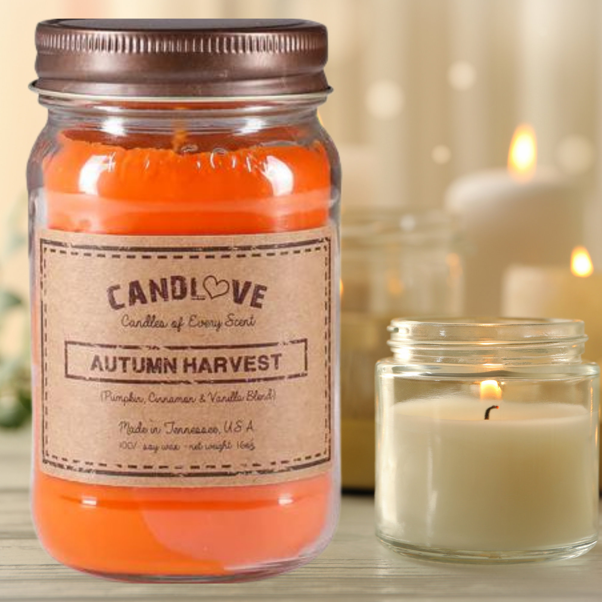 FizzIt Autumn Harvest Scented Jar Candle with Glass Holder | Wayfair