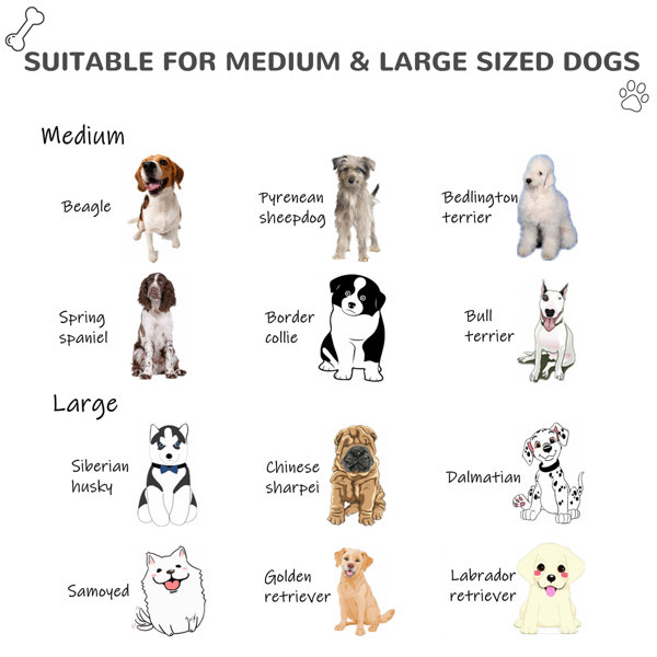 Archie & Oscar™ Mitzi Gray Wood Dog House | Wayfair