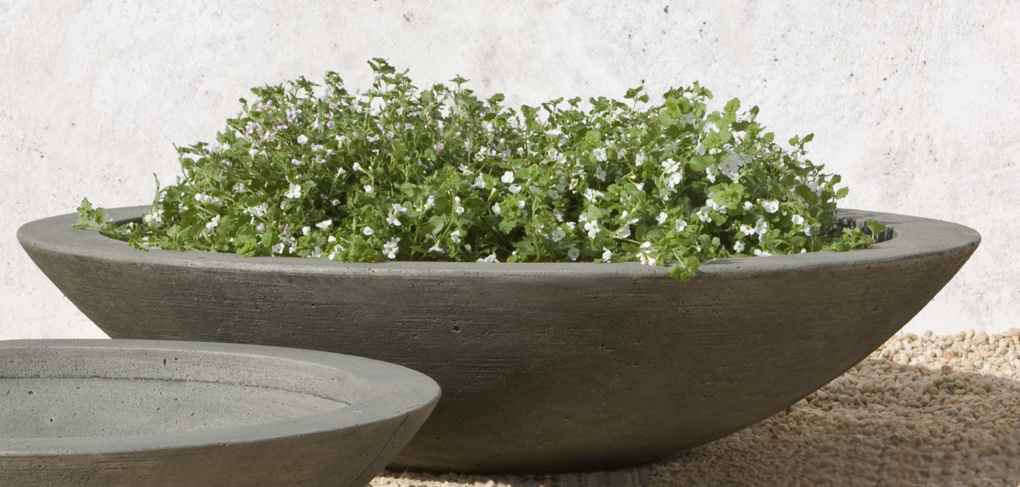 Latitude Run® Low Zen Bowl Cast Stone Pot Planter & Reviews | Wayfair