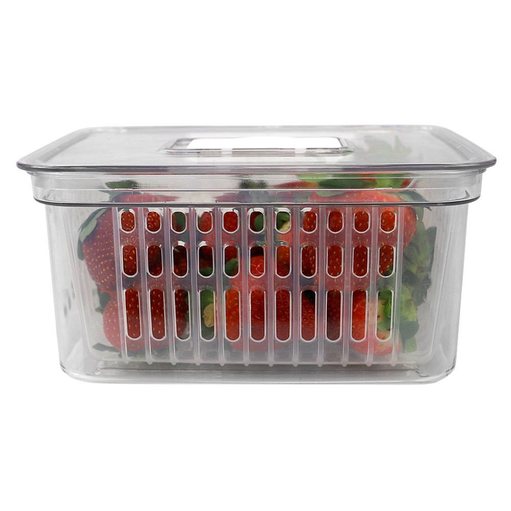 Prep & Savour Keep Fresh Food Storage Container & Reviews - Wayfair Canada