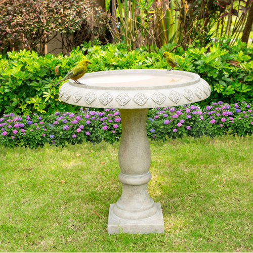 Small Bird Baths You'll Love | Wayfair