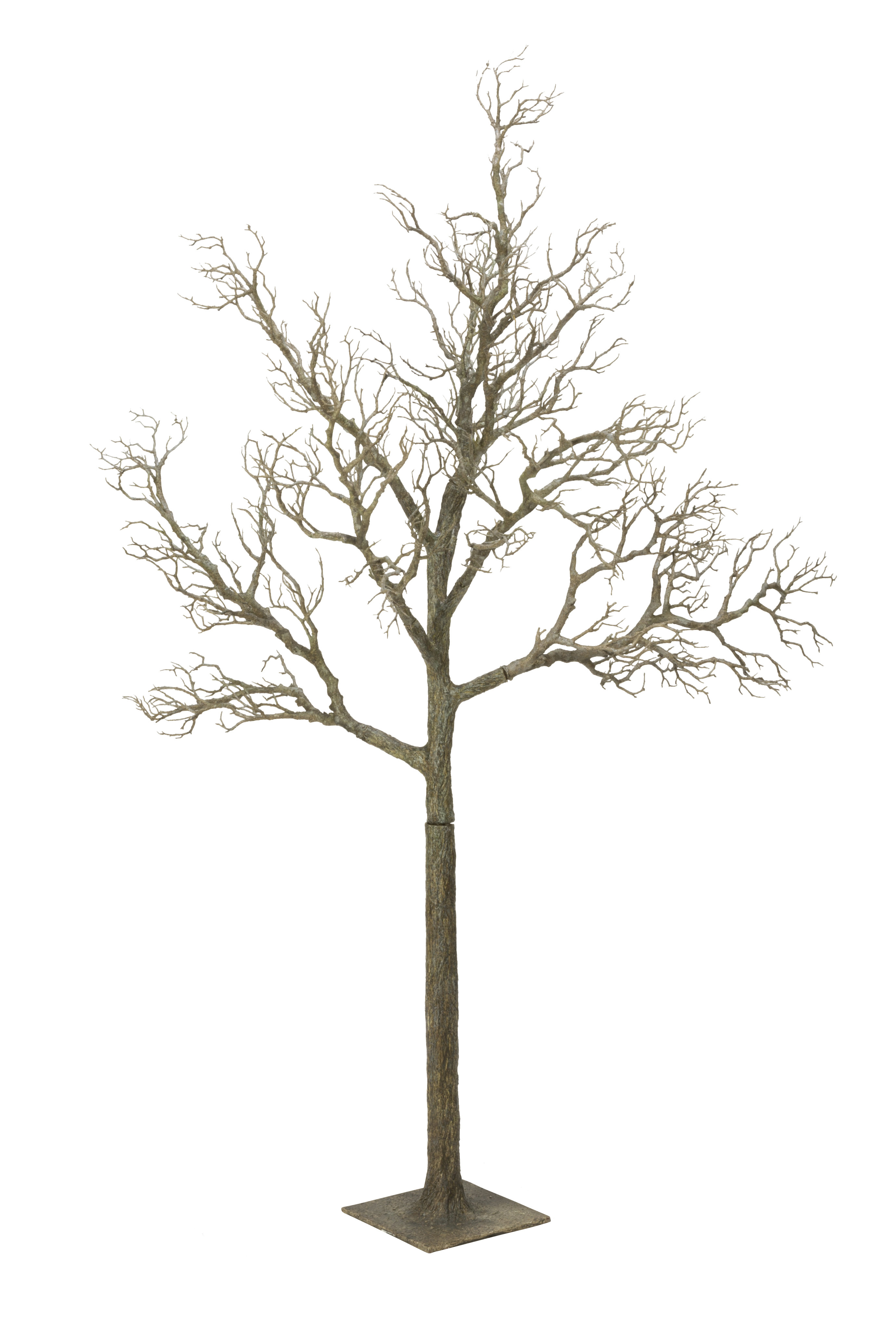 Red Barrel Studio Twig Floor Bonsai Tree & Reviews - Wayfair Canada