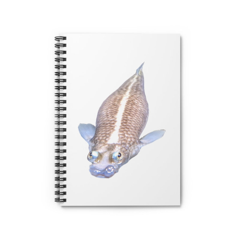 Marick Booster Koi Fish Spiral Notebook | Wayfair