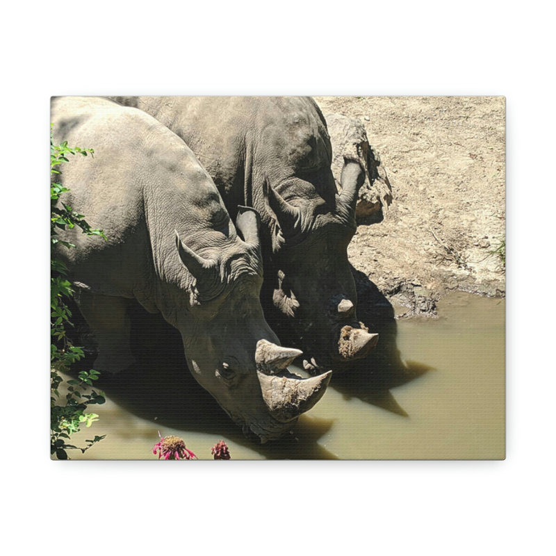 Union Rustic Rhino by Kelly Johnson - Wrapped Canvas Graphic Art | Wayfair