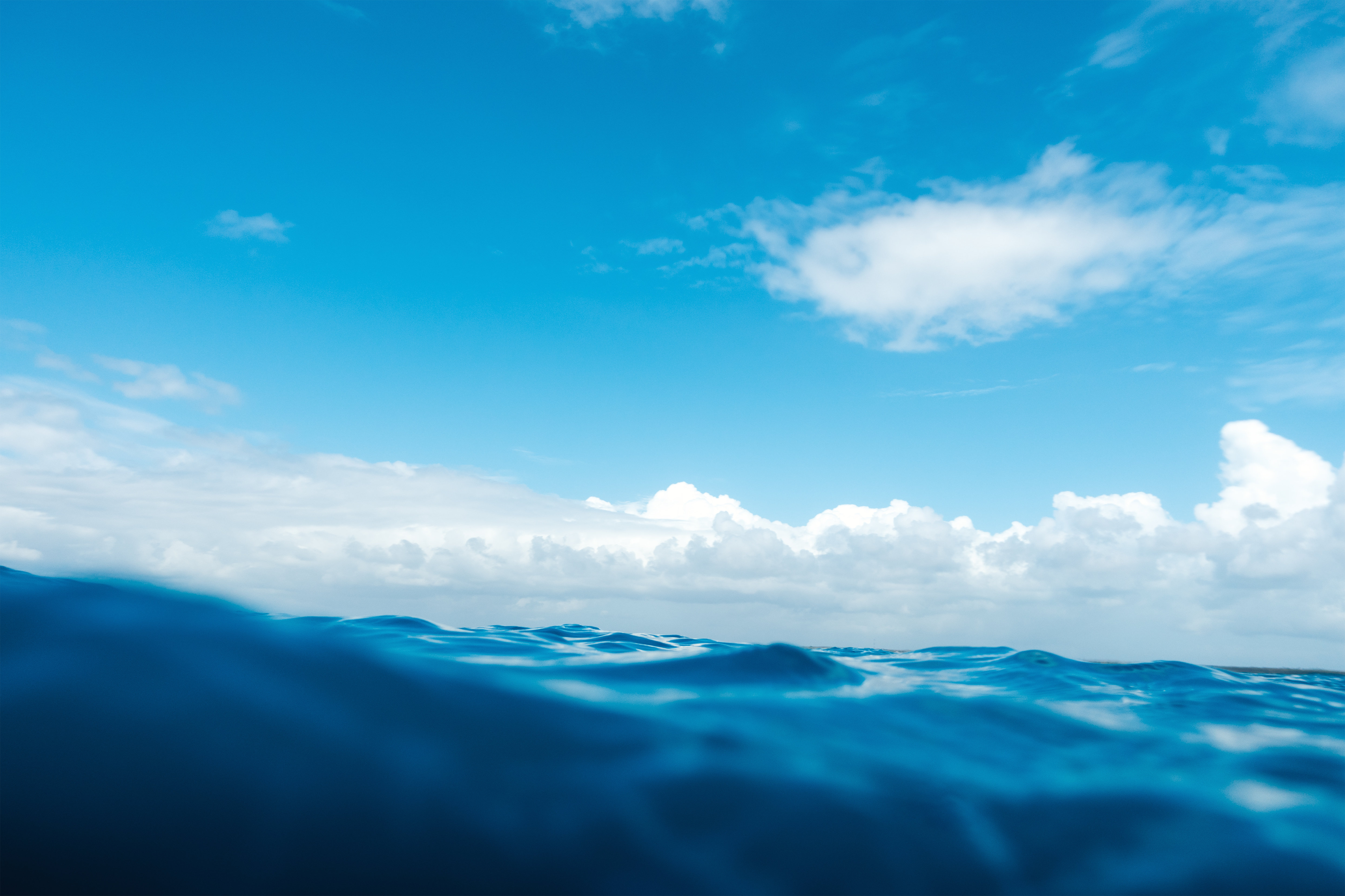 Highland Dunes Closeup of Sea Waves by Borchee | Wayfair