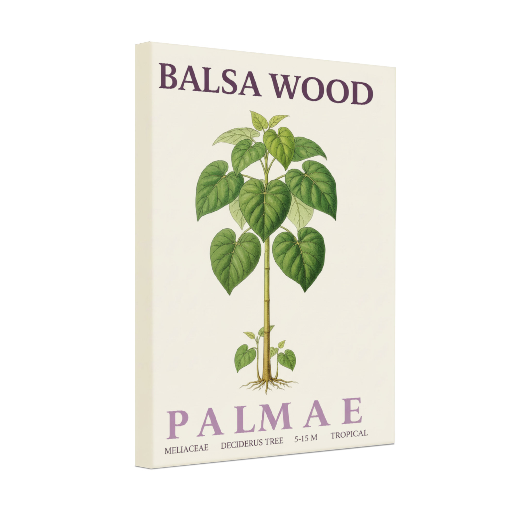 Latitude Run® Plants & Flowers Balsa Wood Plant Illustration Pattern ...