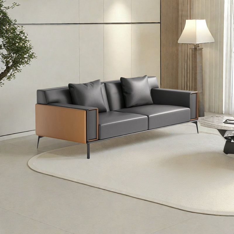 Danbenla design Light luxury sofa | Wayfair