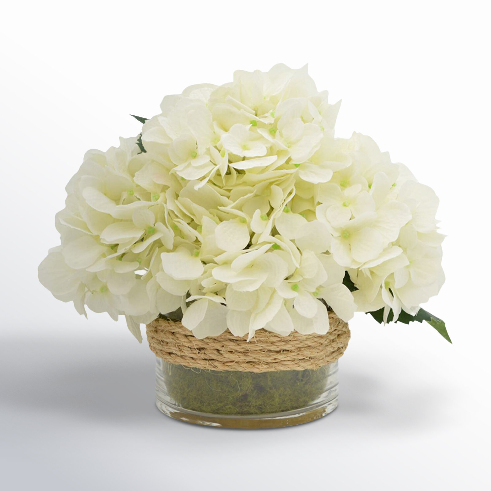 Laurel Foundry Modern Farmhouse® Hydrangea in Glass vase with Moss ...