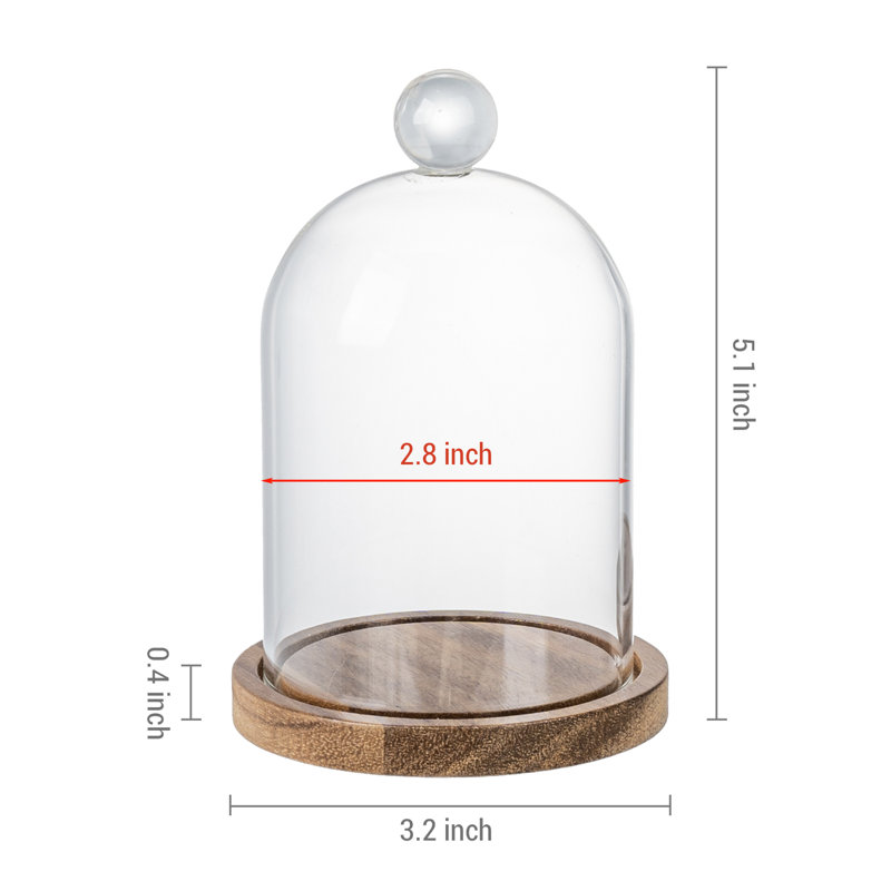August Grove® Small Decorative Glass Cloche Set | Wayfair