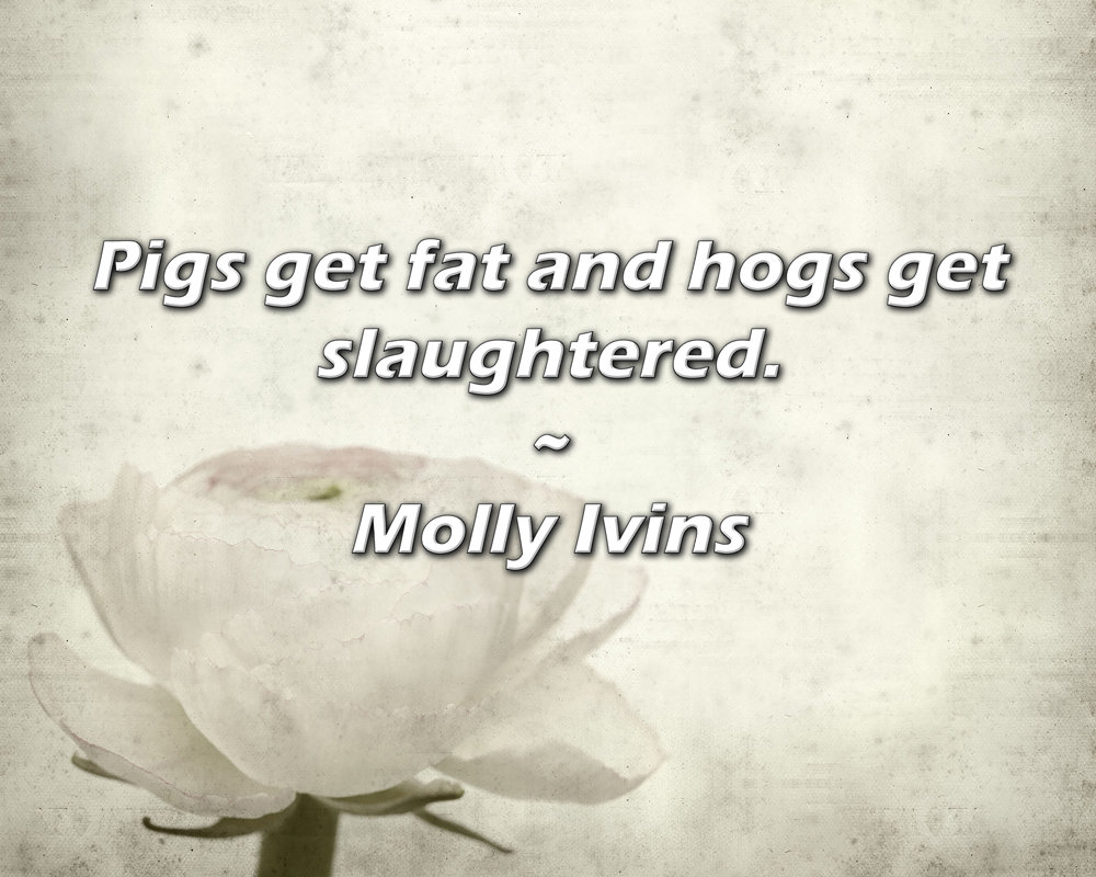 Ebern Designs Artsy Quote "Pigs get fat and hogs get slaughtered." By ...