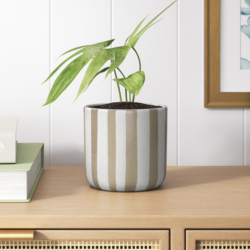 Beachcrest Home Rainee Stripes Cachepot | Wayfair