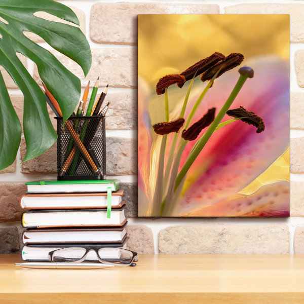 Bay Isle Home Lily Anthers by Pamela Plummer | Wayfair