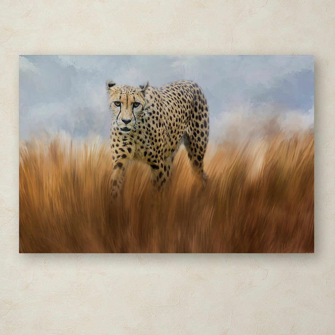 Trademark Fine Art 'Cheetah in the Field' Graphic Art Print on Wrapped ...
