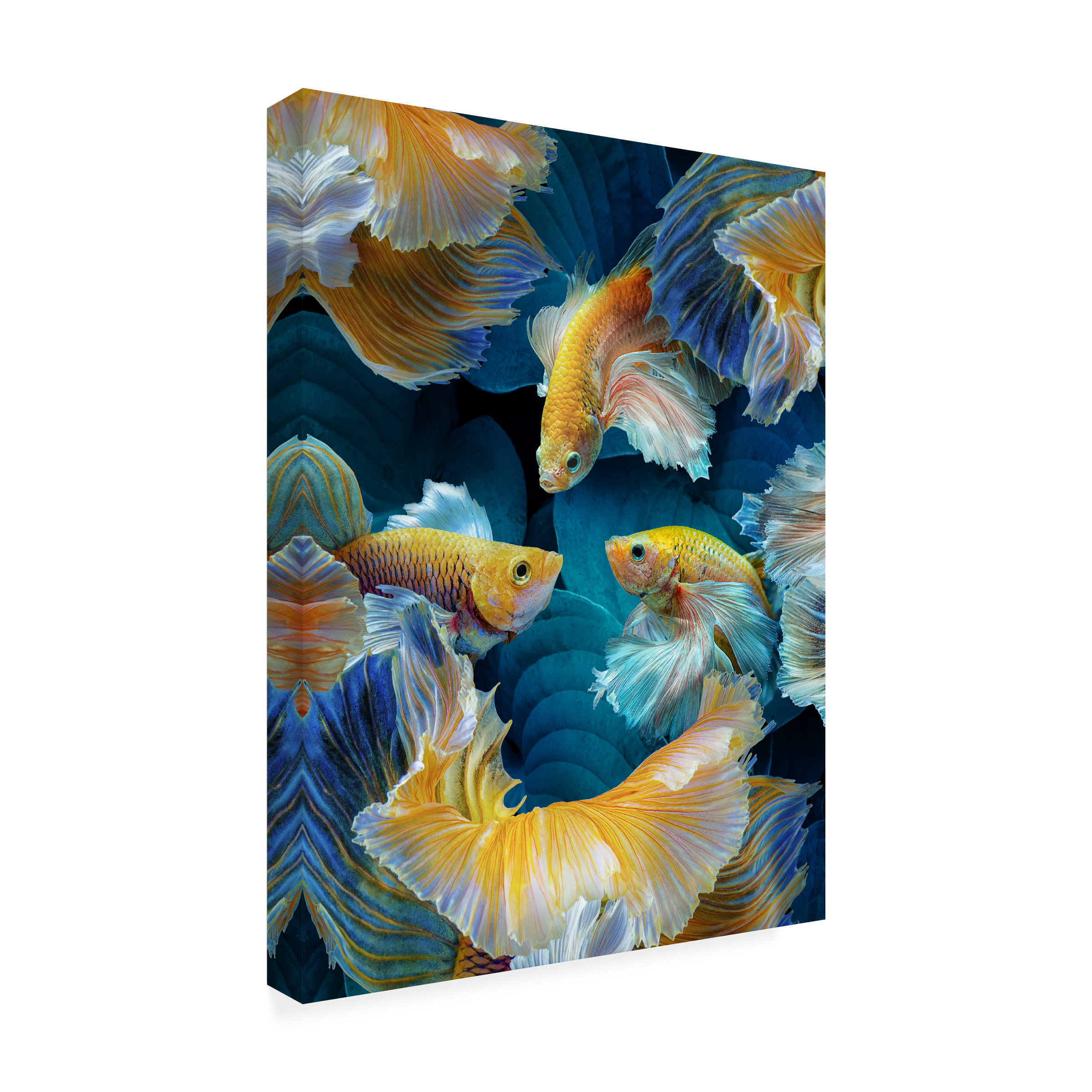 Trademark Fine Art Modern & Contemporary Color Fish On Canvas Print ...