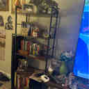 17 Stories Landrienne 62.2" H x 23.6" W Standard 5-Shelf Bookcase ...