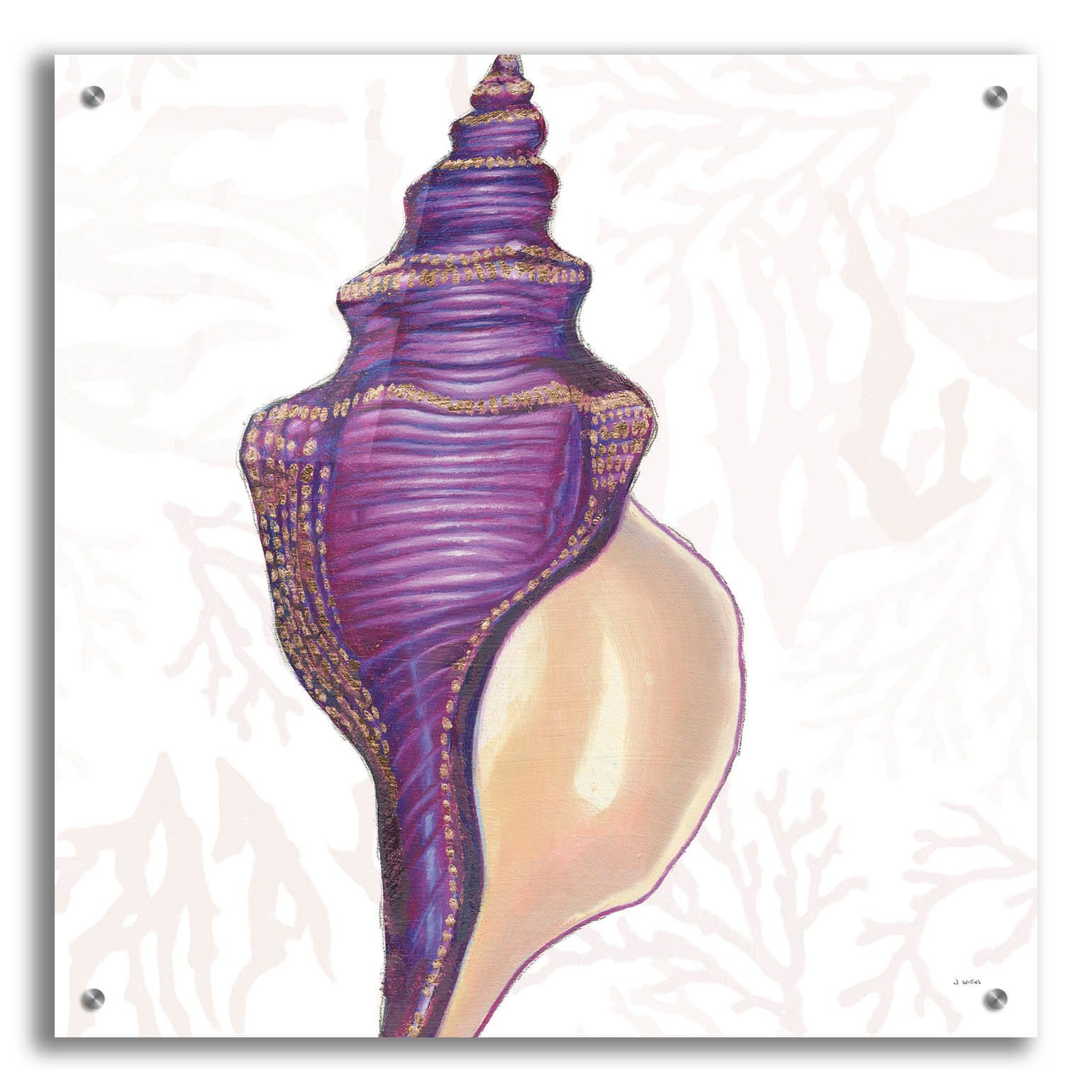 Beachcrest Home™ 'Shimmering Shells 9' by James Wiens Acrylic Glass ...