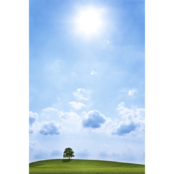 17 Stories Single Tree On Green Sloope by Sebastian-julian - No Frame ...