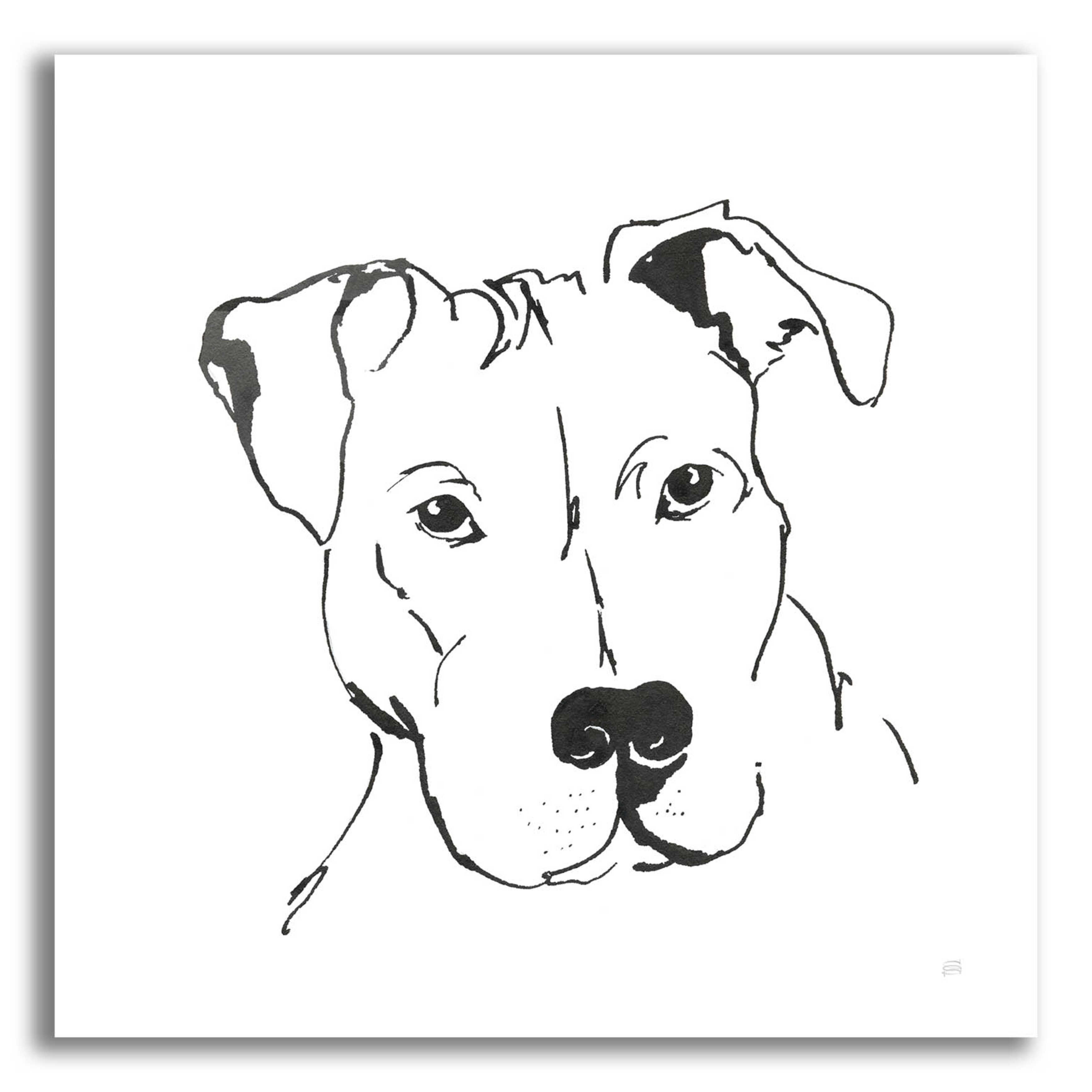 Red Barrel Studio Epic Art 'Line Dog Pitbull II' By Chris Paschke, A ...