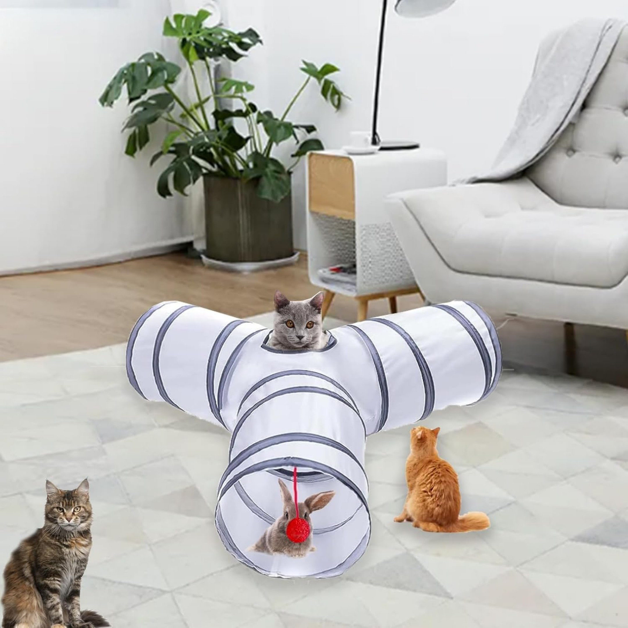 Tucker Murphy Pet™ Cat Tunnel Tube Toys, Tunnels For Indoor Cats, 3 Way ...