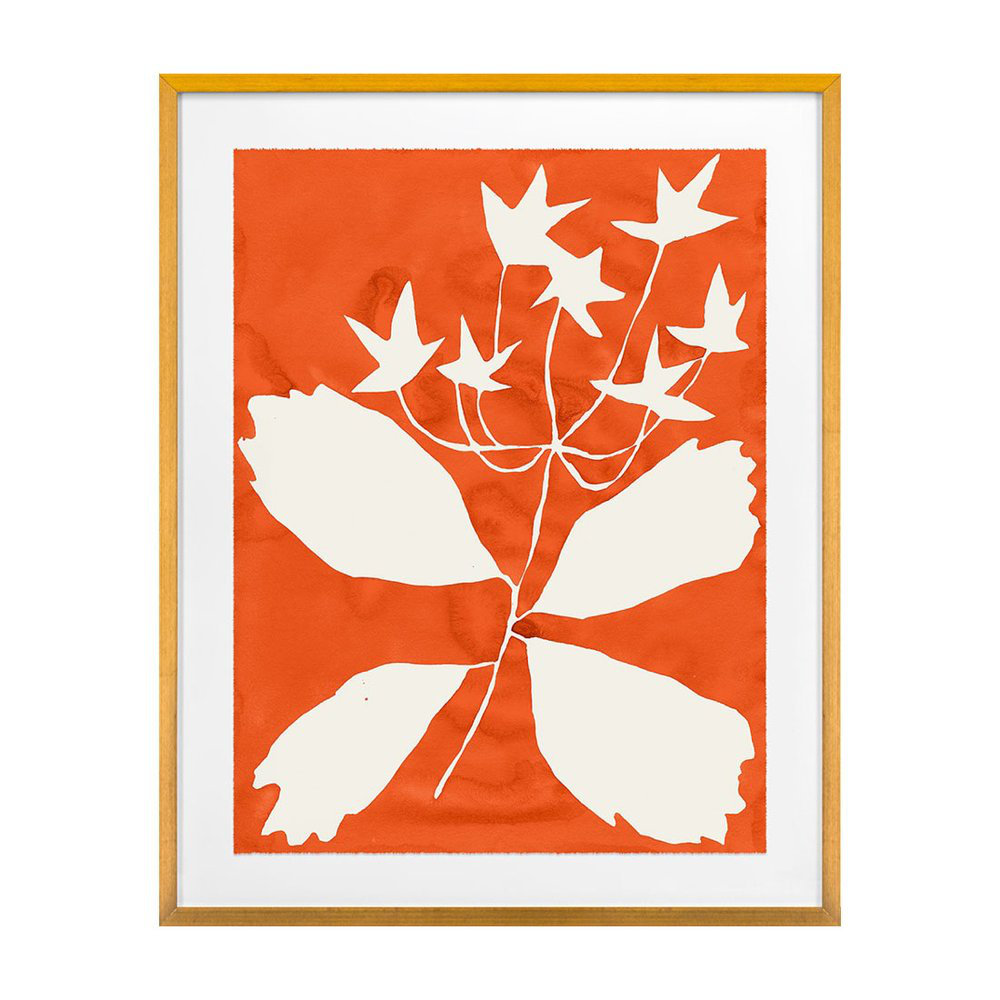 Grand Image Home Citrus Spirea by Kate Roebuck - Framed Painting on ...