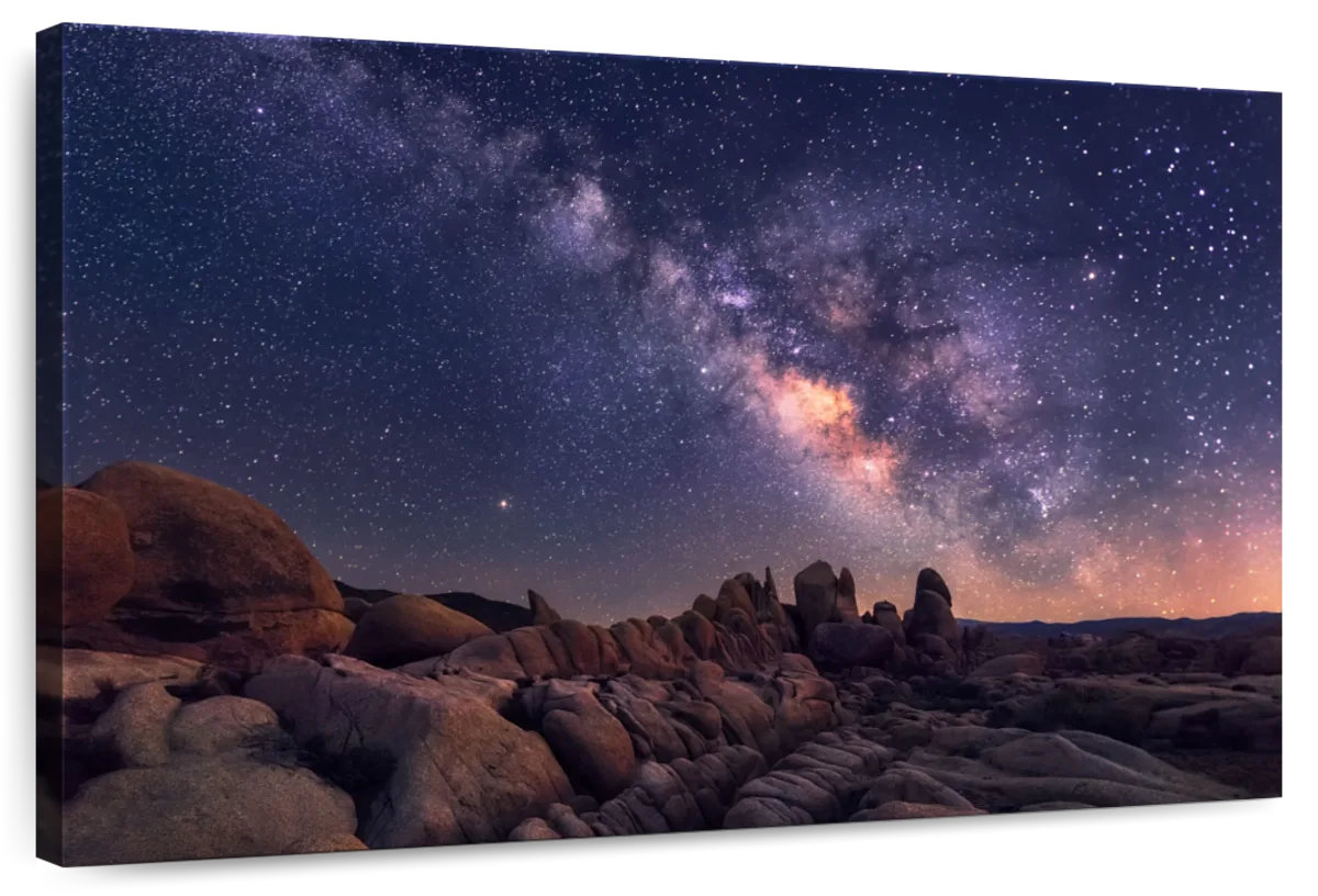 Elephant Stock Joshua Tree Milky Way - Wayfair Canada