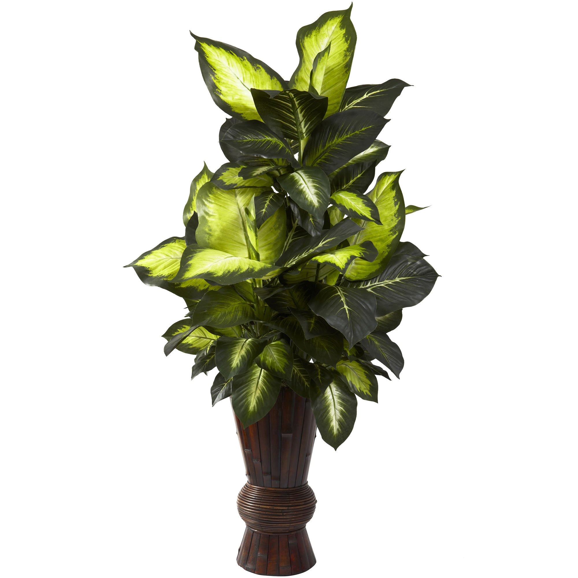 Primrue Charlack Golden Dieffenbachia Floor Plant in Decorative Vase ...