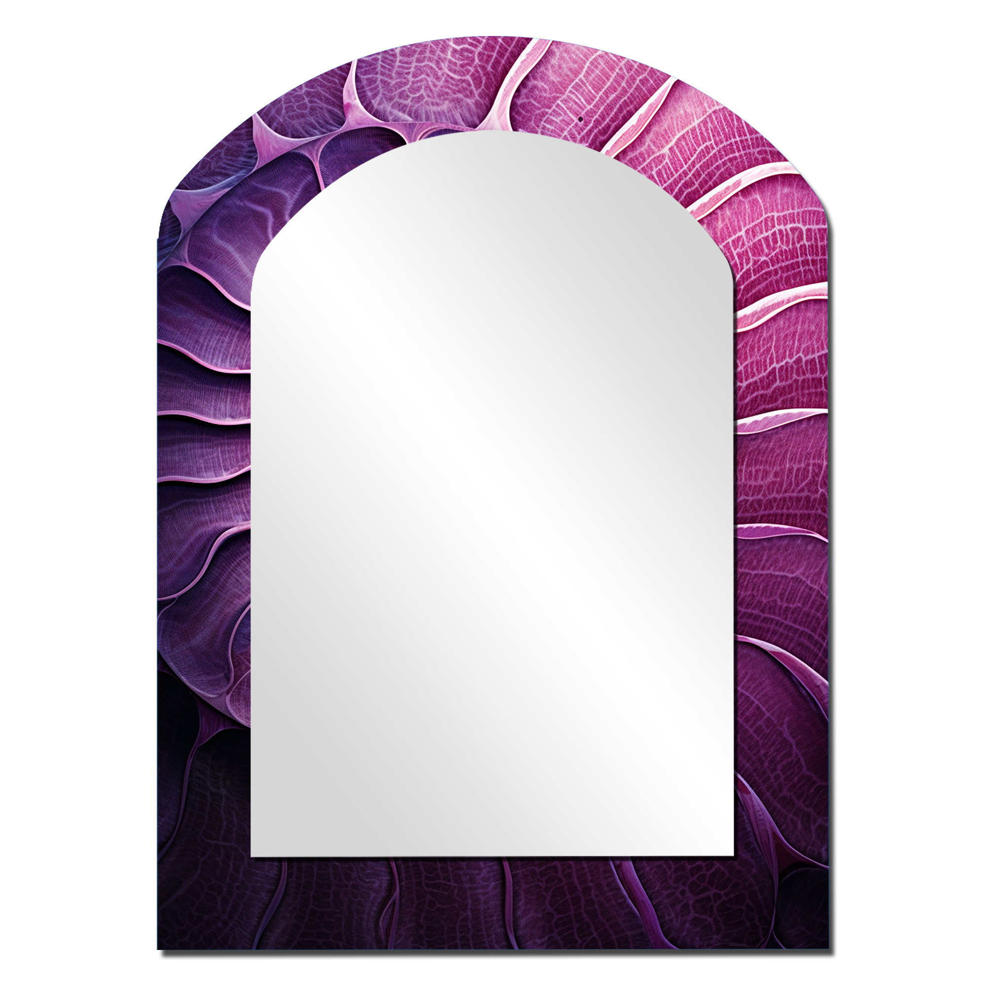 Dakota Fields Nautilus Plum Shellfish I - Nautilus Arch Decorative Wall ...