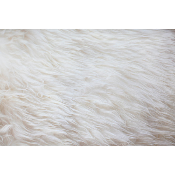 Fairmont Park White Fur Texture Background by Marco_Piunti - Wrapped ...