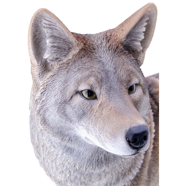 Hi-Line Gift Ltd. Coyote Standing Statue & Reviews | Wayfair