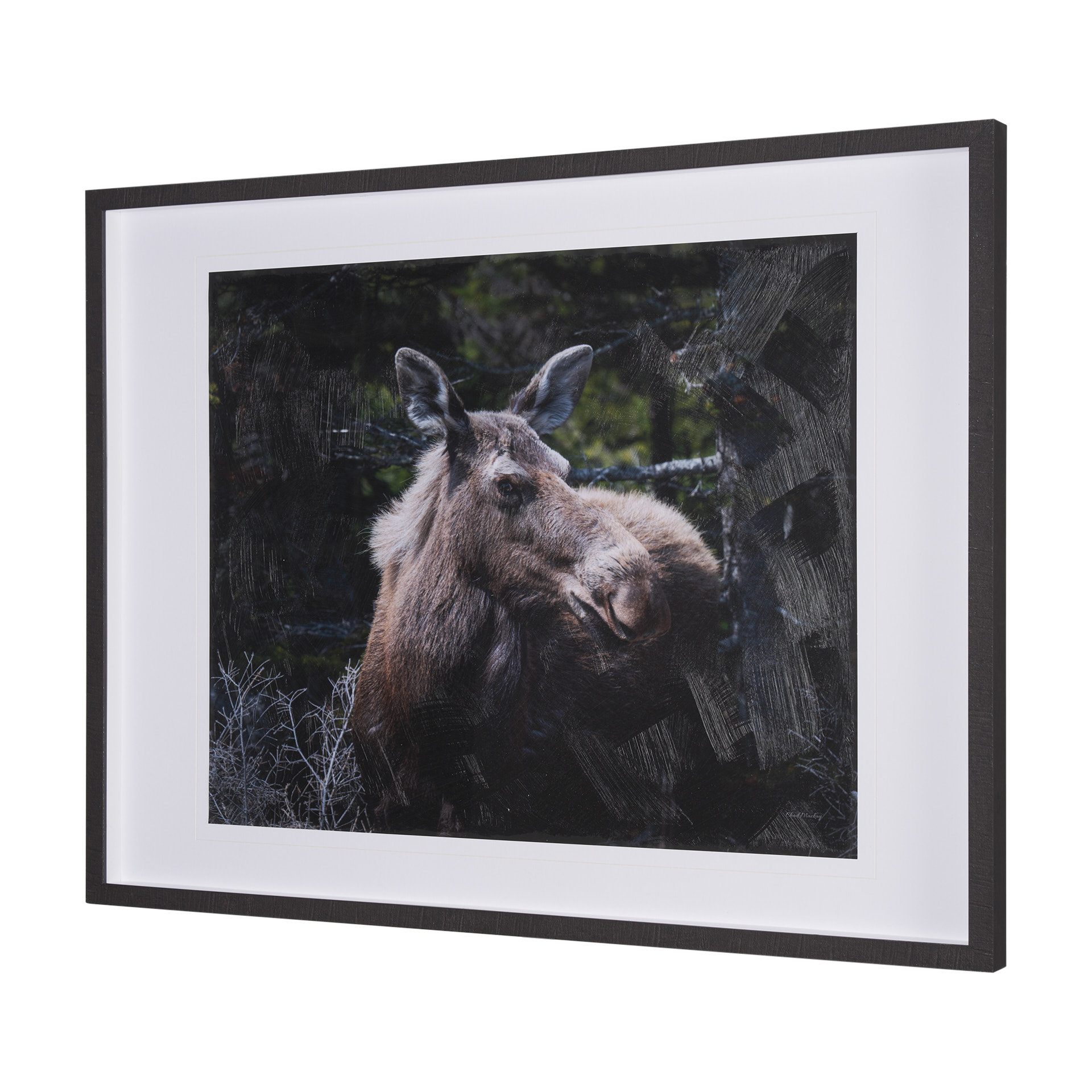 Foundry Select Cautious Gaze By Chad Mackay A Hand Embellished Framed Art Print Matted Under ...