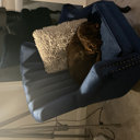 Three Posts Cadsden Upholstered Accent Chair & Reviews | Wayfair.co.uk