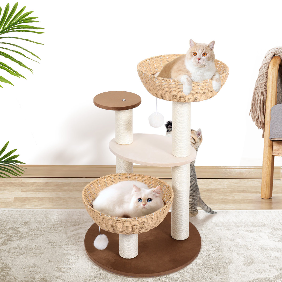 Archie & Oscar™ 33.5'' H Adilynn Cat Tree & Reviews | Wayfair